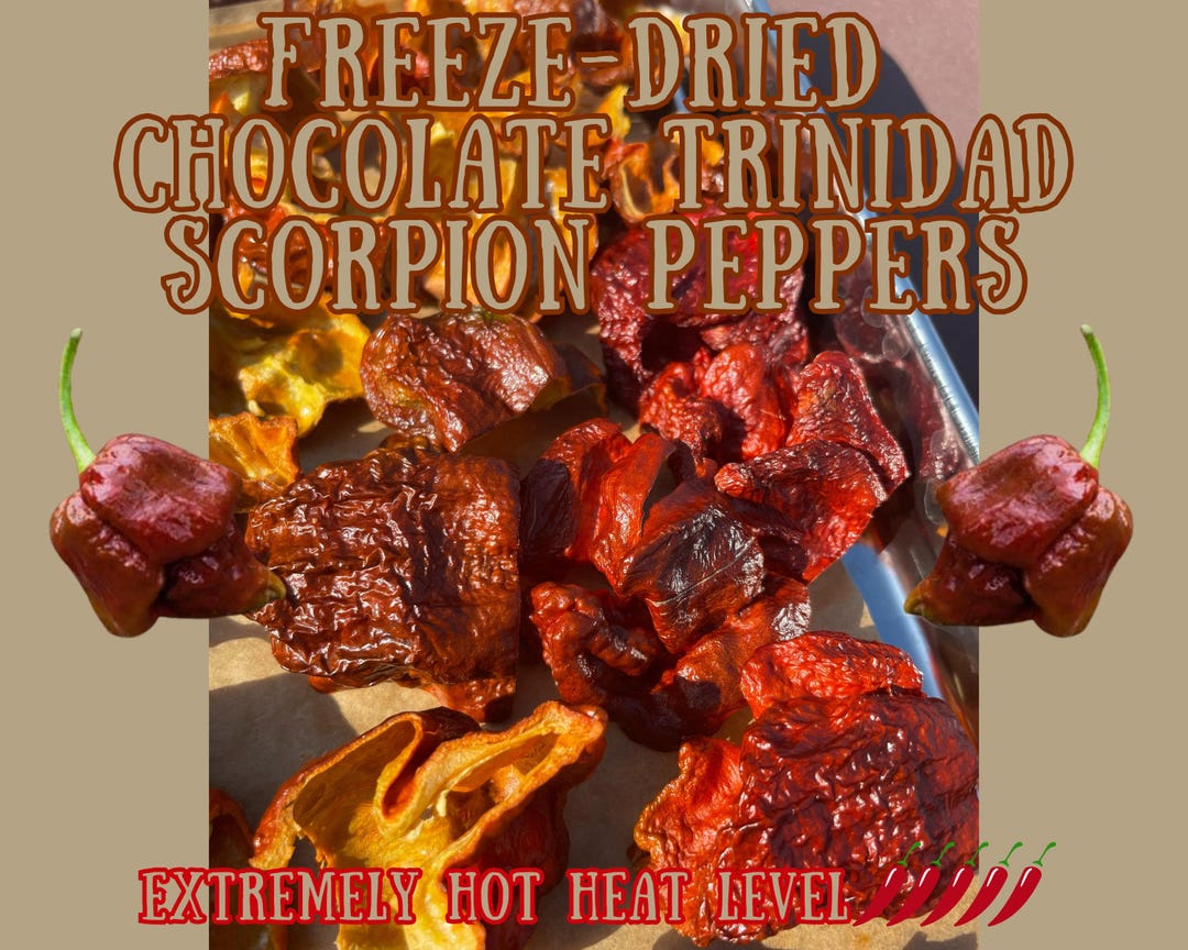 Chocolate Trinidad Scorpion Peppers Freeze Dried | 100% Dried Chocolate ...
