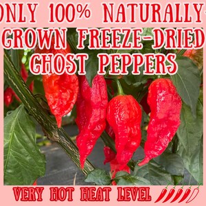 Freeze Dried Ghost Pepper Powder Freeze Dried Peppers for Sauces and ...