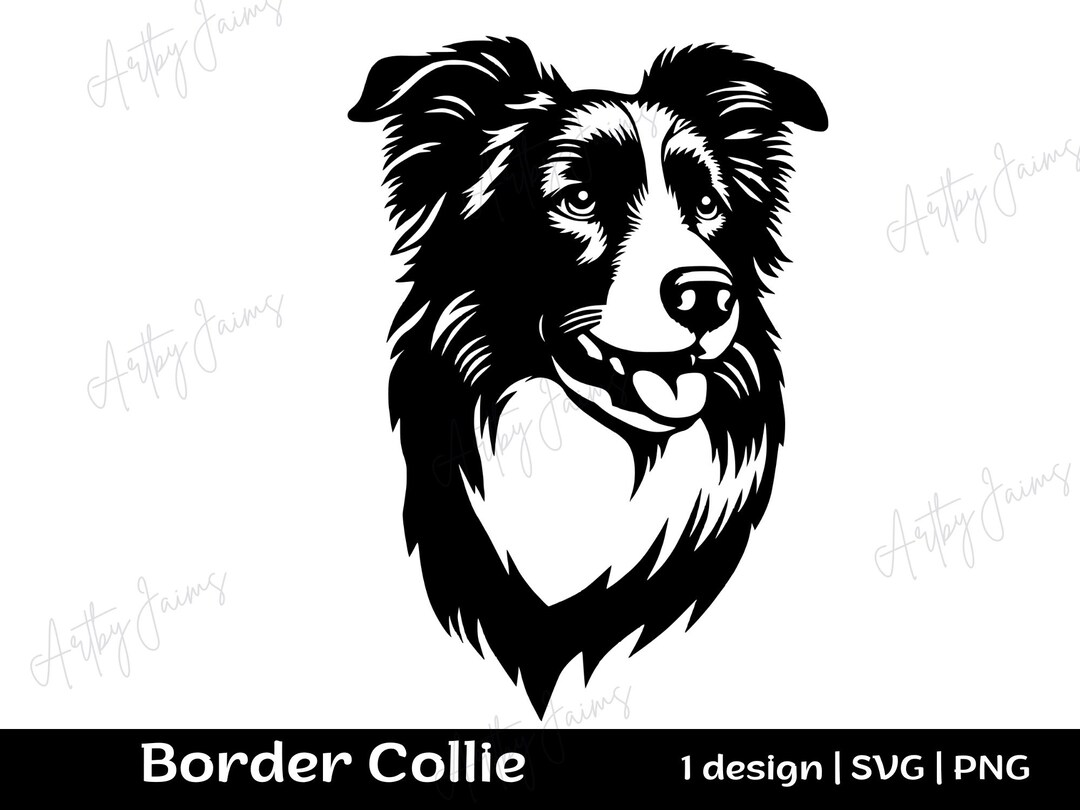 Border Collie Head SVG, Smart Herding Dog Clipart, Pet Lover PNG ...