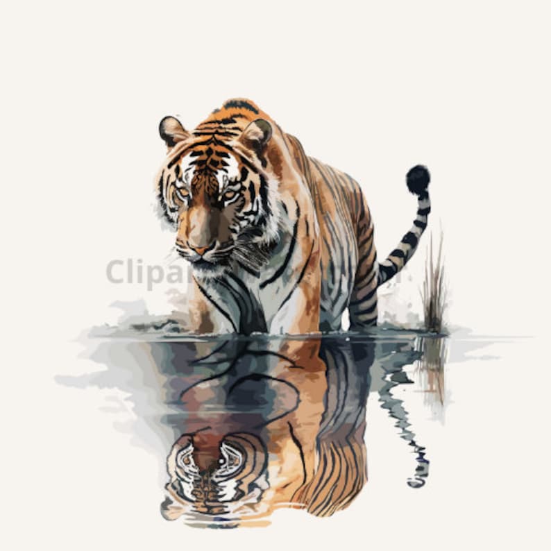 Tigers PNG, Watercolor Clipart, Cute African Jungle Animals, Digital ...