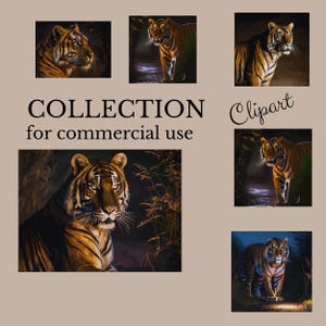 Tigers Png, Cute Africal Jungle Animals, Clipart in Watercolor, Canva ...
