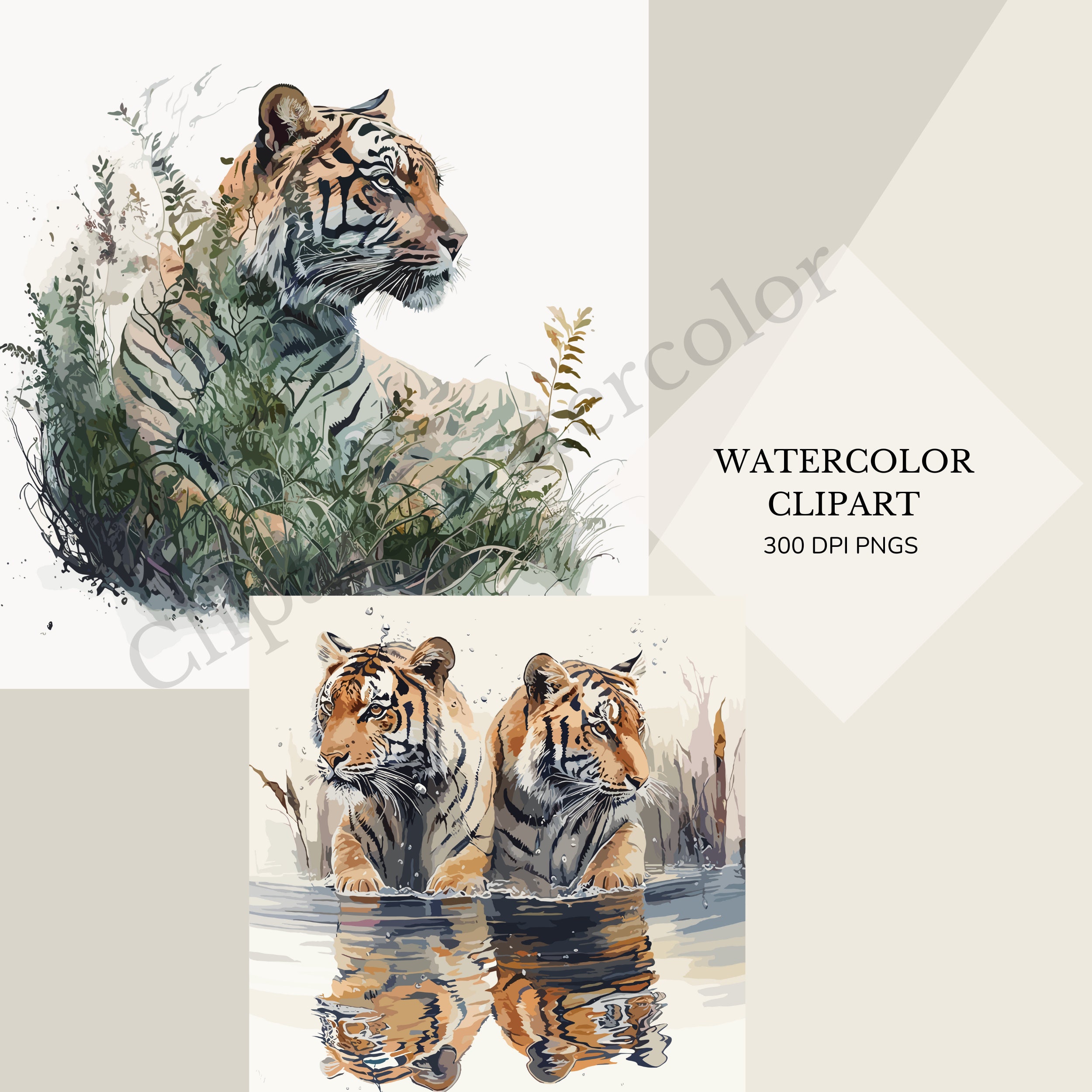 Tiger PNG, Watercolor Tiger Clipart - Cute African Jungle Animals ...