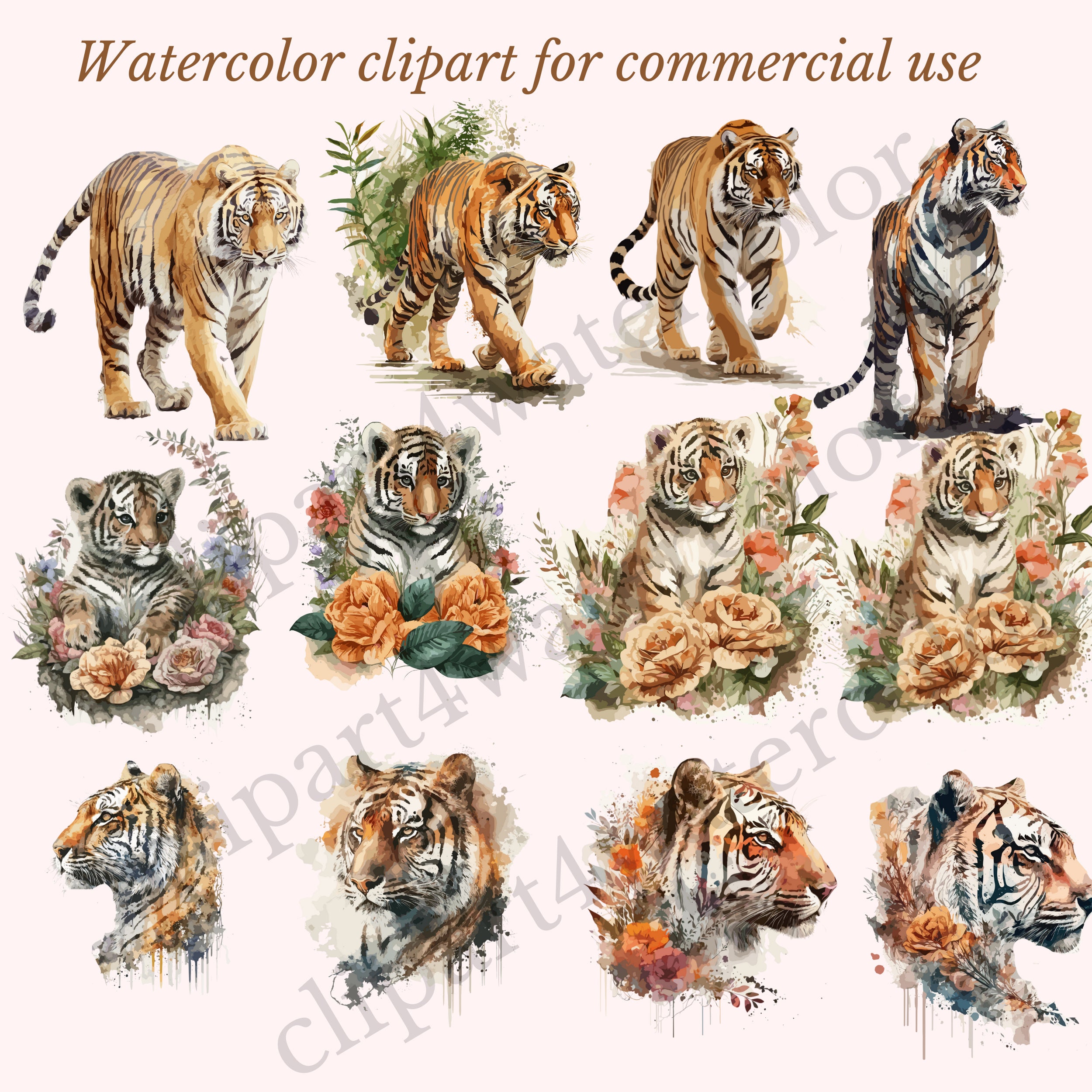Watercolor Tiger Clipart - Cute African Jungle Animals PNG Format ...