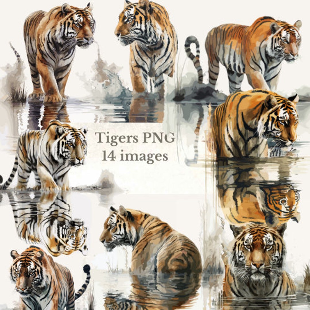 Tigers PNG, Watercolor Clipart, Cute African Jungle Animals, Digital ...