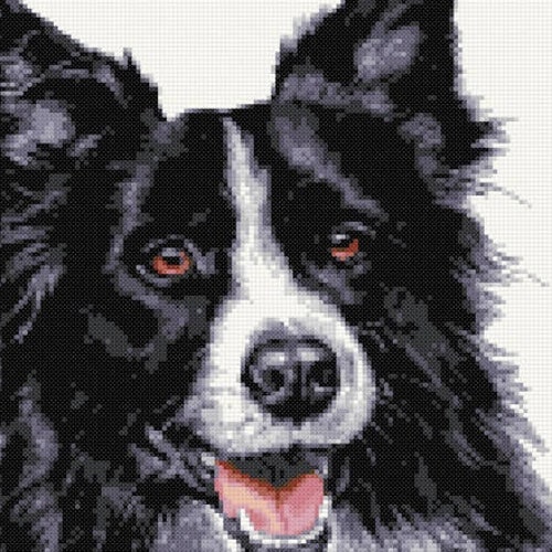 Border Collie Dog Counted Cross Stitch Pattern PDF - Etsy