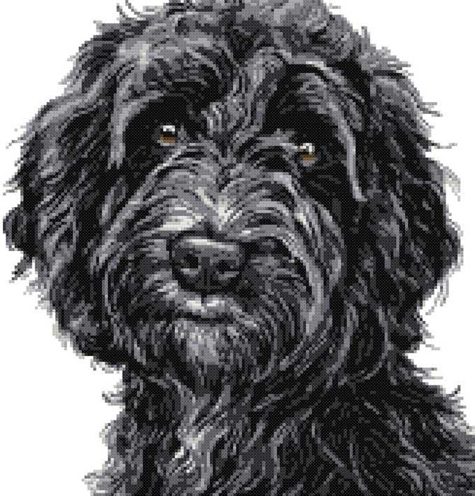 Black Cockapoo (v3) Cross Stitch Kit - Etsy