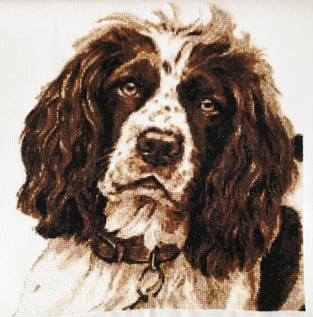 Springer Spaniel No3 Counted Cross Stitch Kit - Etsy