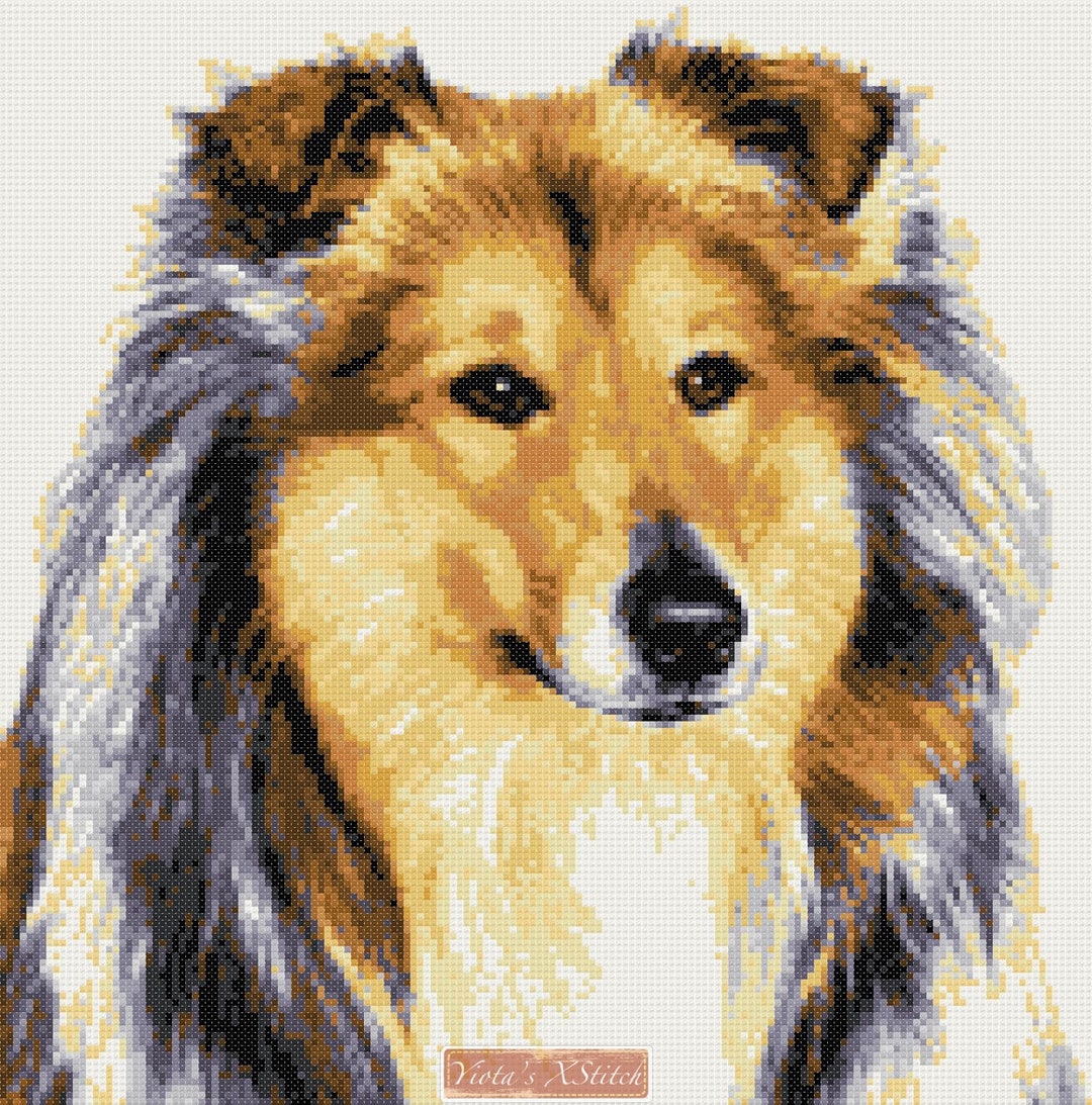 Rough Collie v2 Dog Counted Cross Stitch Kit - Etsy