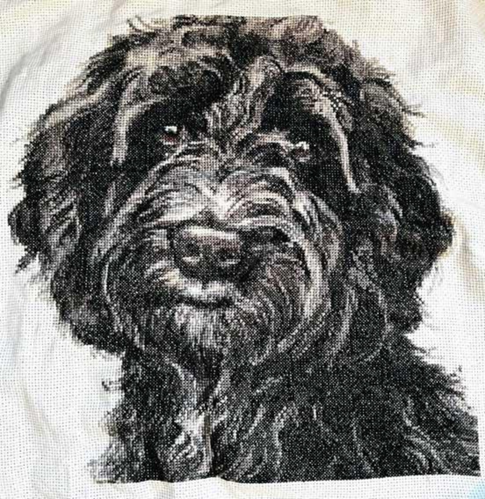 Black Cockapoo (v3) Cross Stitch Kit - Etsy
