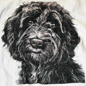 Black Cockapoo (v3) Cross Stitch Kit - Etsy