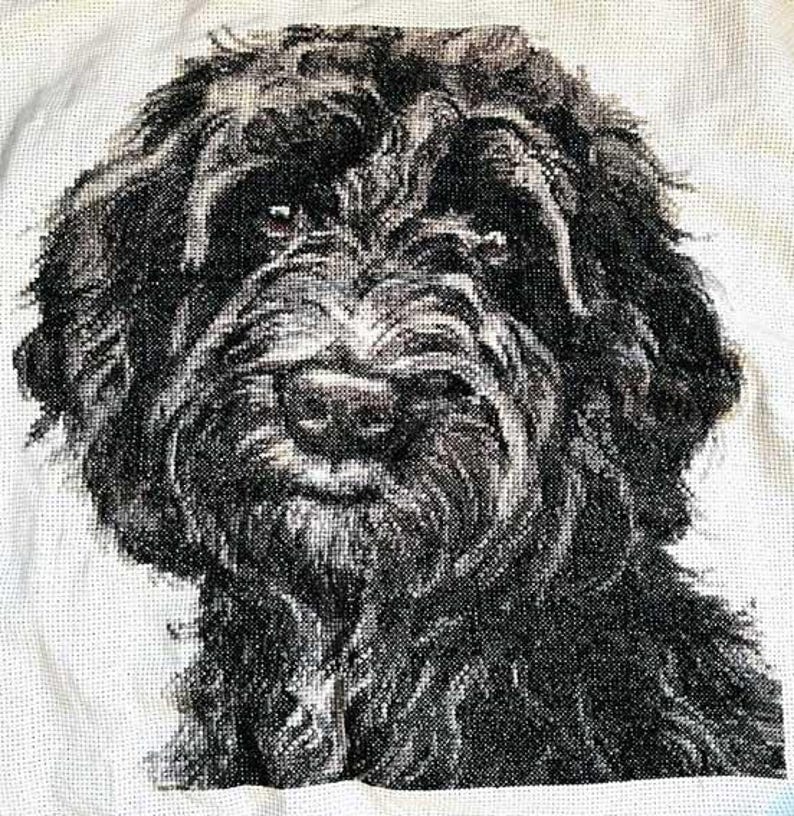 Black Cockapoo (v3) Cross Stitch Kit - Etsy