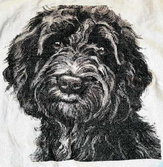 Black Cockapoo (v3) Cross Stitch Kit - Etsy