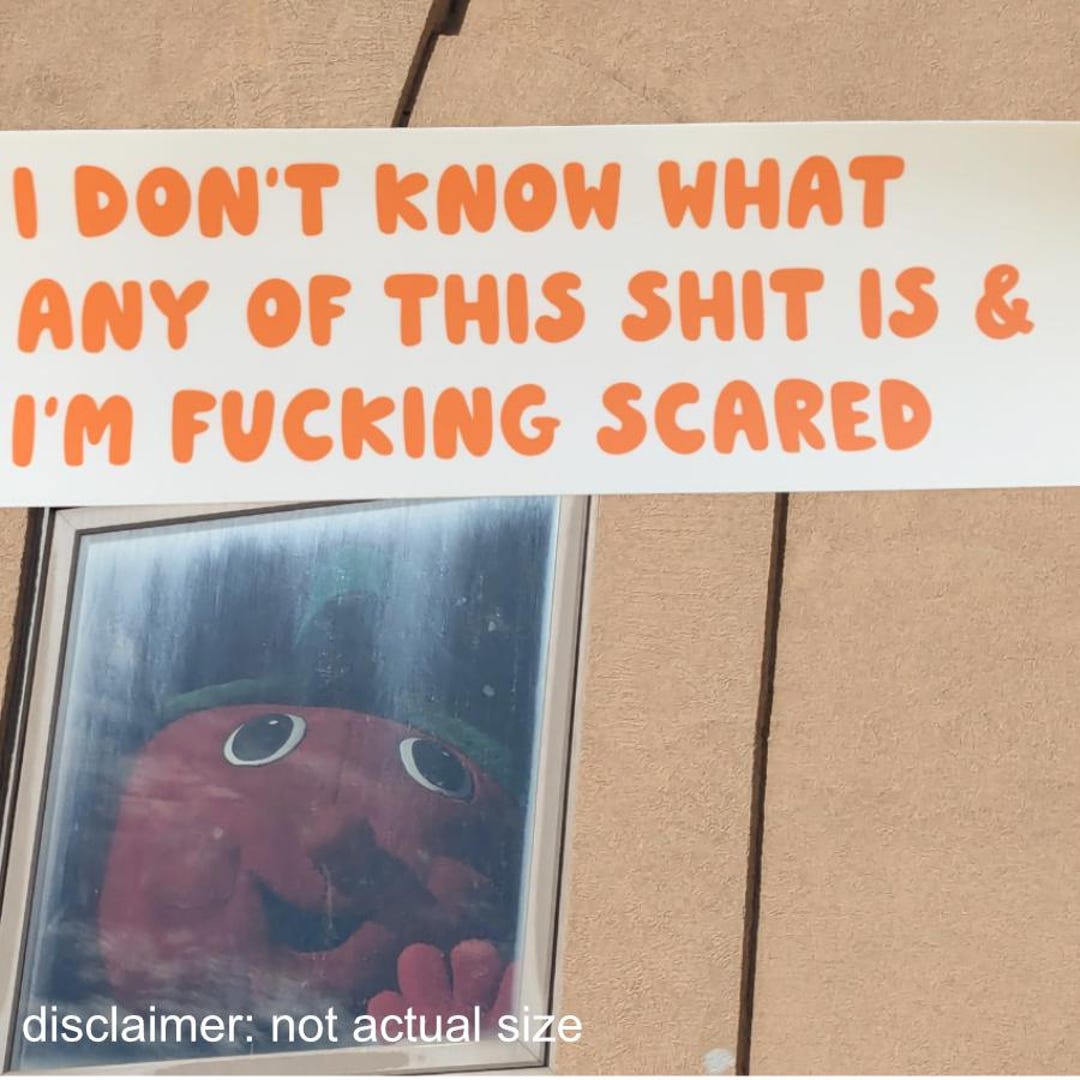 I Think You Should Leave Bumper Sticker red/orange - Etsy