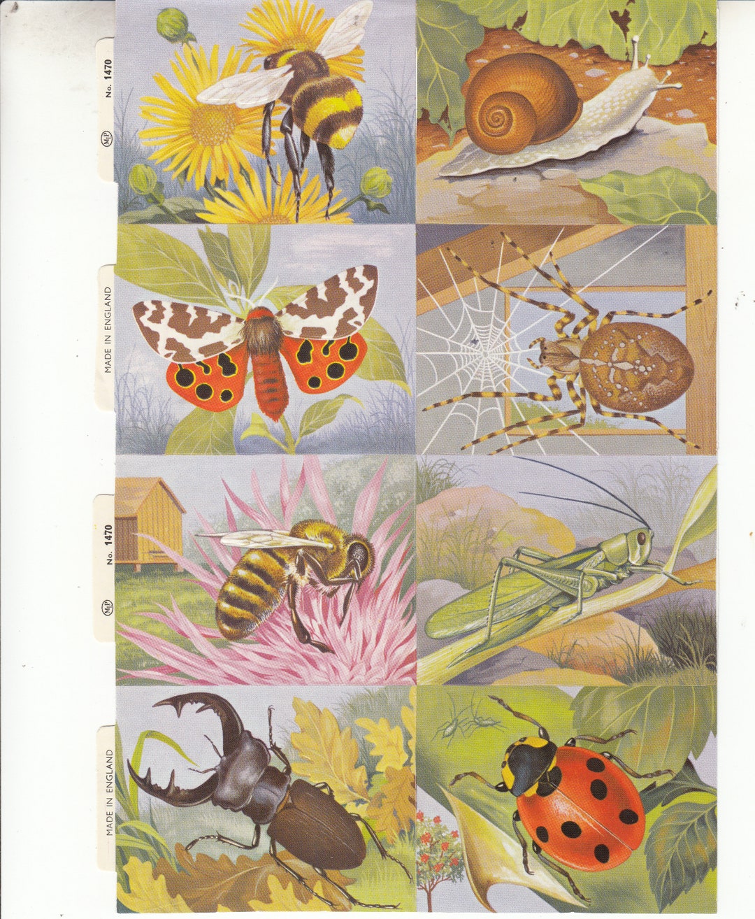 Bugs MLP 1470 Scrap Die-cut Sheet of 16 New Old Stock England - Etsy