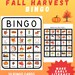 Fall Festival Kids BINGO | With Labels and Pictures! Make Early ...