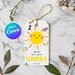 Have a Great Summer Gift Tag, Summer Sun Gift Tag, Sunshine Thank You ...