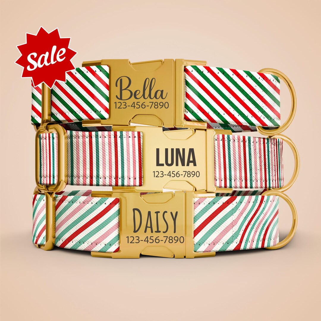 Personalized Christmas Dog Collar With Leash, Engraved Name, Candy Cane ...