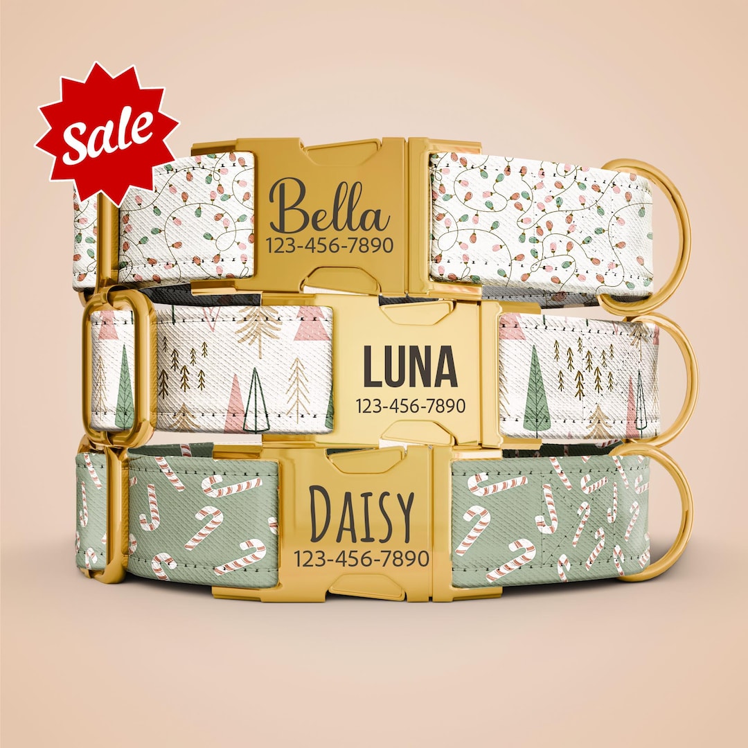 Personalized Christmas Dog Collar With Leash: Personalized Engraved ...