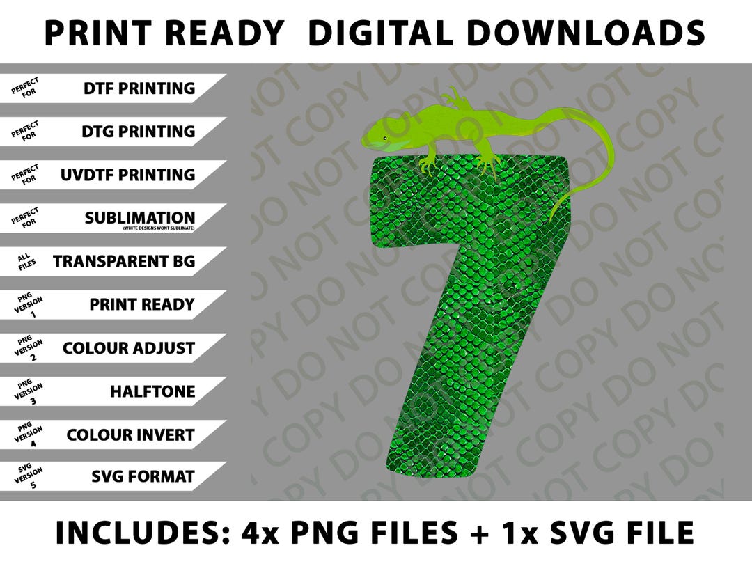 7th Birthday Lizard 7 Reptile Theme Party Seven Years Old Png Bundle ...