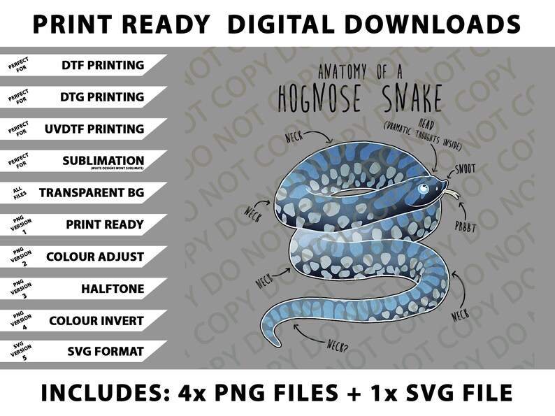 Anatomy of a Hognose Snake, Funny Pet Reptile Animal Lover Png Bundle ...