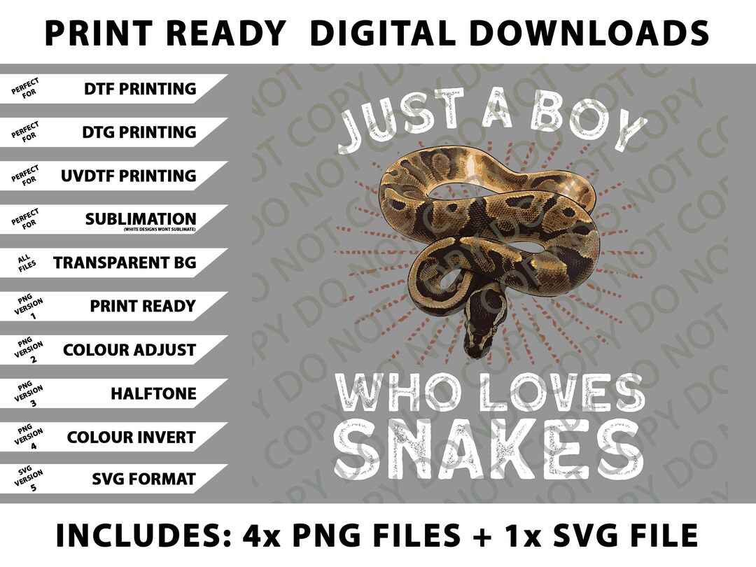 Funny Snake Art for Boys Kids Men Reptile Animal Snake Lover Png Bundle ...