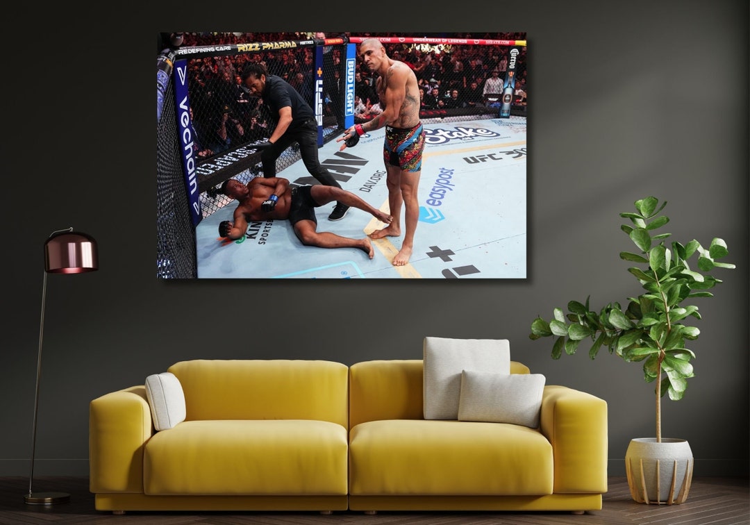 Alex Pereira After Knocking Out Jamahal Hill at UFC 300 Ready to Hang ...