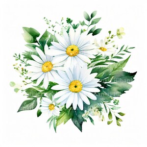 10 Daisy Flowers Bouquet Clipart, Watercolor Daisy Illustration ...
