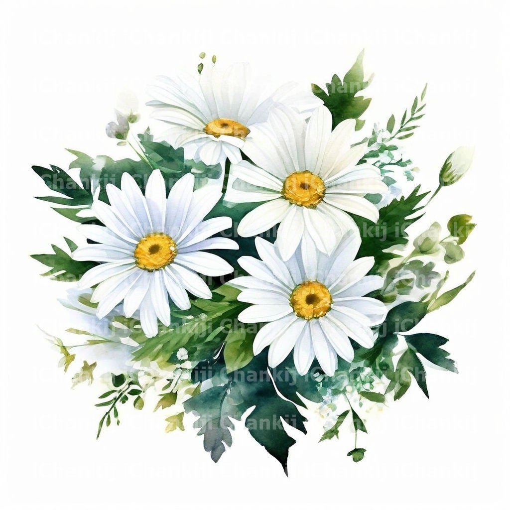 10 Daisy Flowers Bouquet Clipart, Watercolor Daisy Illustration ...