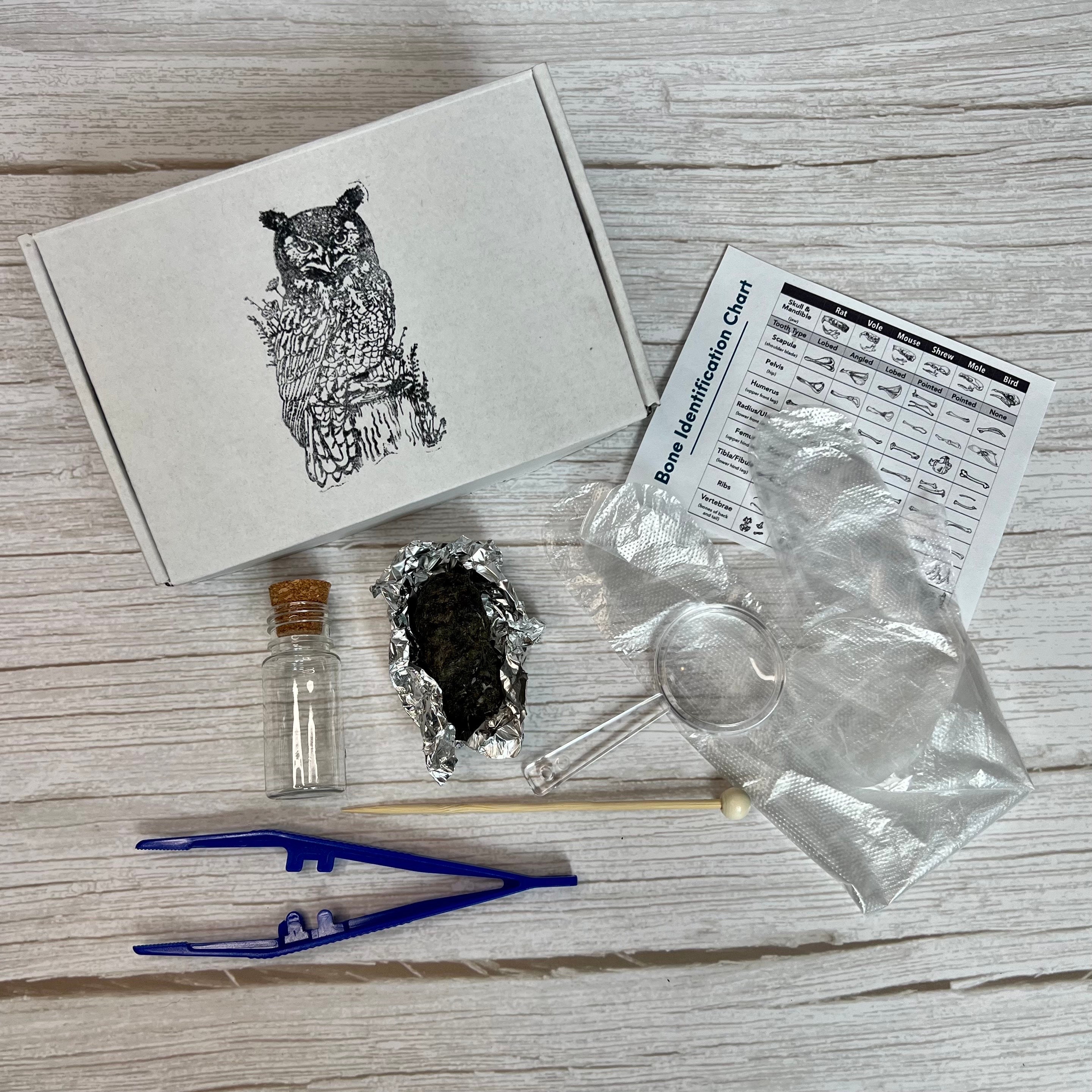 Owl Pellet Dissection Kit // Great Horned Owl Pellets // Select Pellet ...