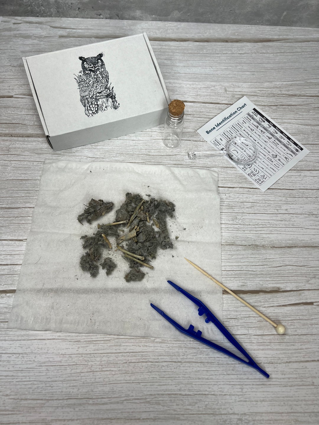 Real Owl Pellet With Dissection Kit // Owl Pellets for Sale // Free ...