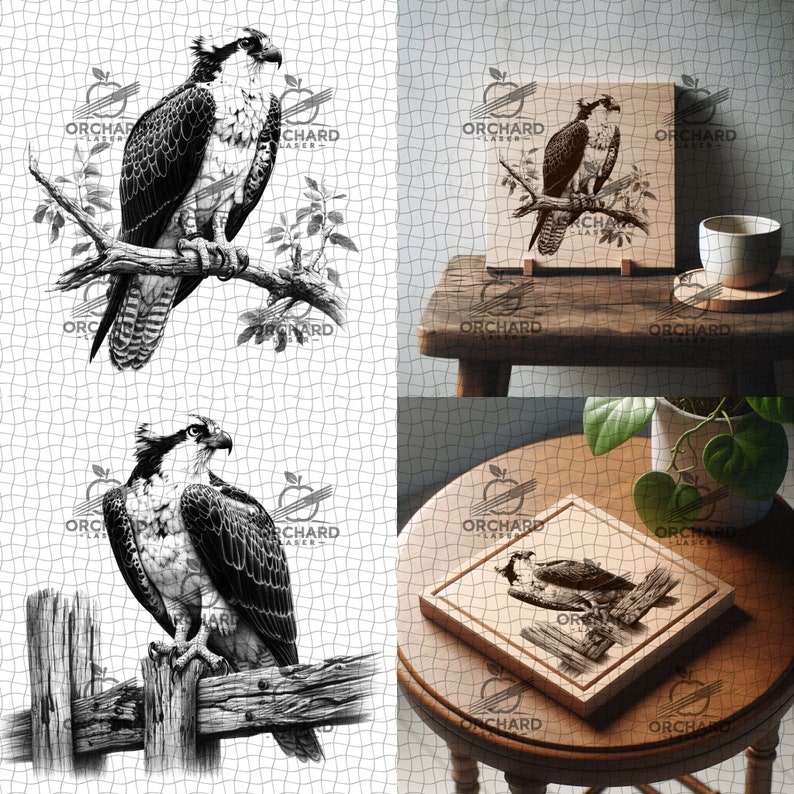 8x High Quality PNG Image File | Drawing | Engrave | Laser Ready ...