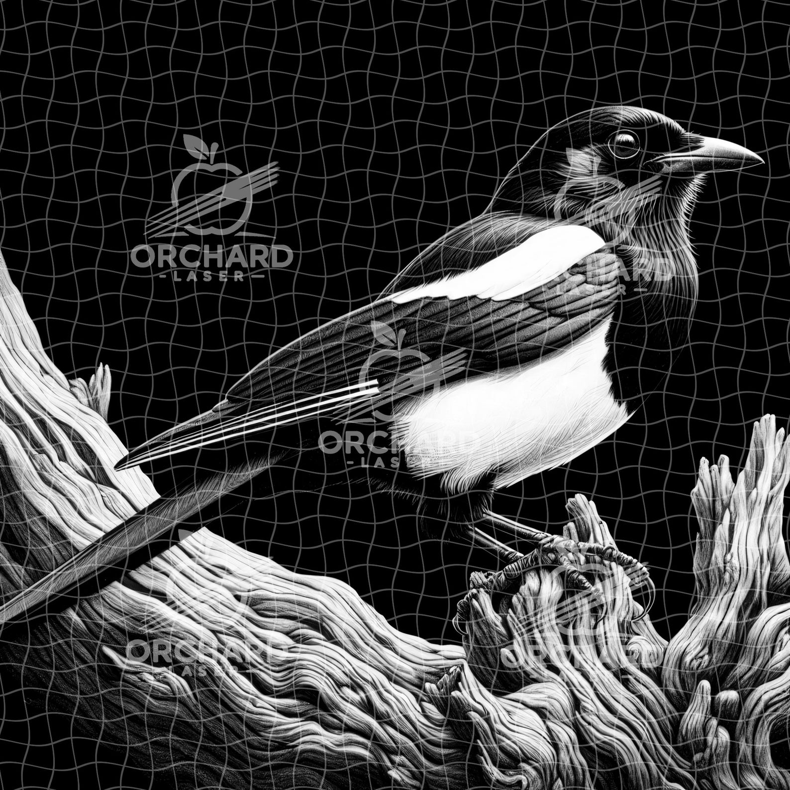 8x High Quality PNG Image File Drawing Engrave Laser Ready Digital ...