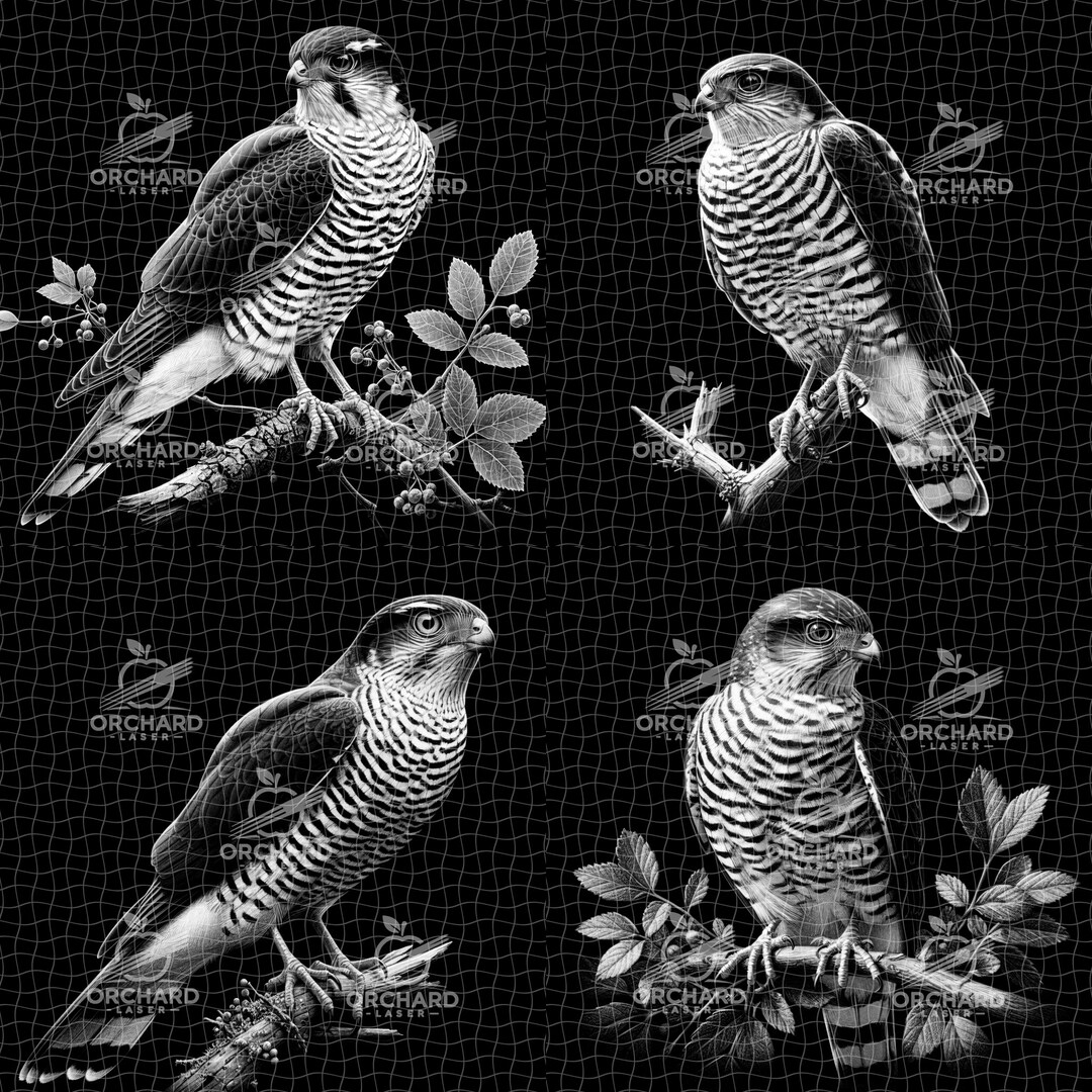 8x High Quality PNG Image Drawing Engrave Laser Ready Digital Design ...