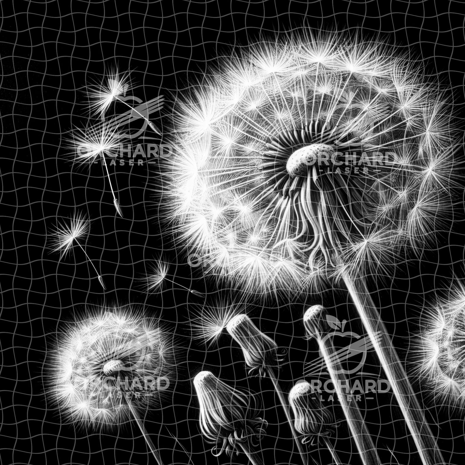 8x High Quality PNG Image File | Drawing | Engrave | Laser Ready | Digital Design File | Flowers ...