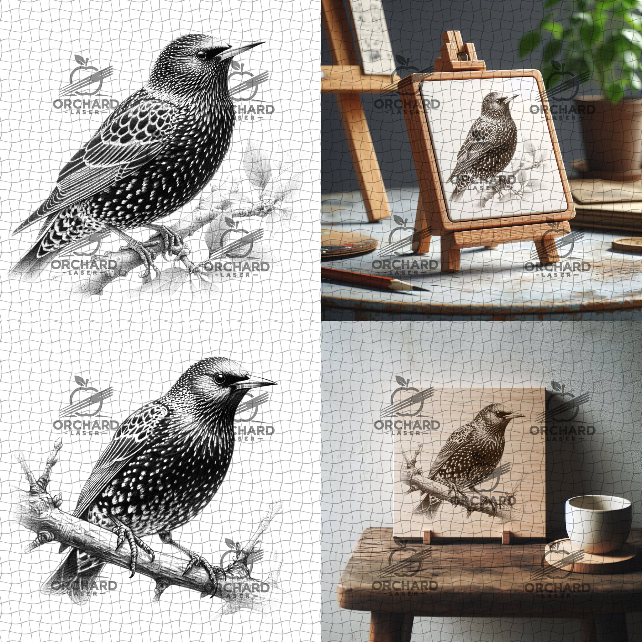 8x High Quality PNG Image File | Drawing | Engrave | Laser Ready ...