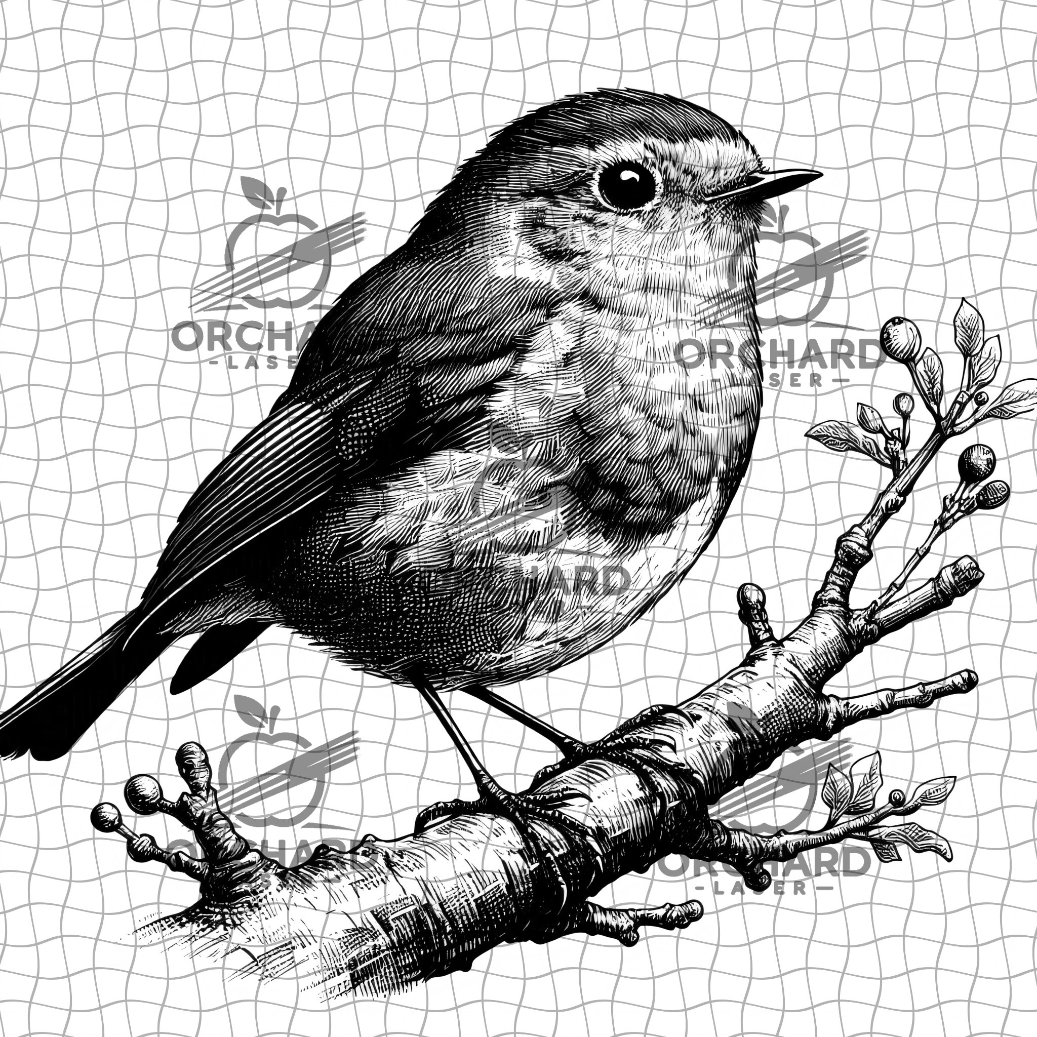 8x High Quality PNG Image File | Drawing | Engrave | Laser Ready ...