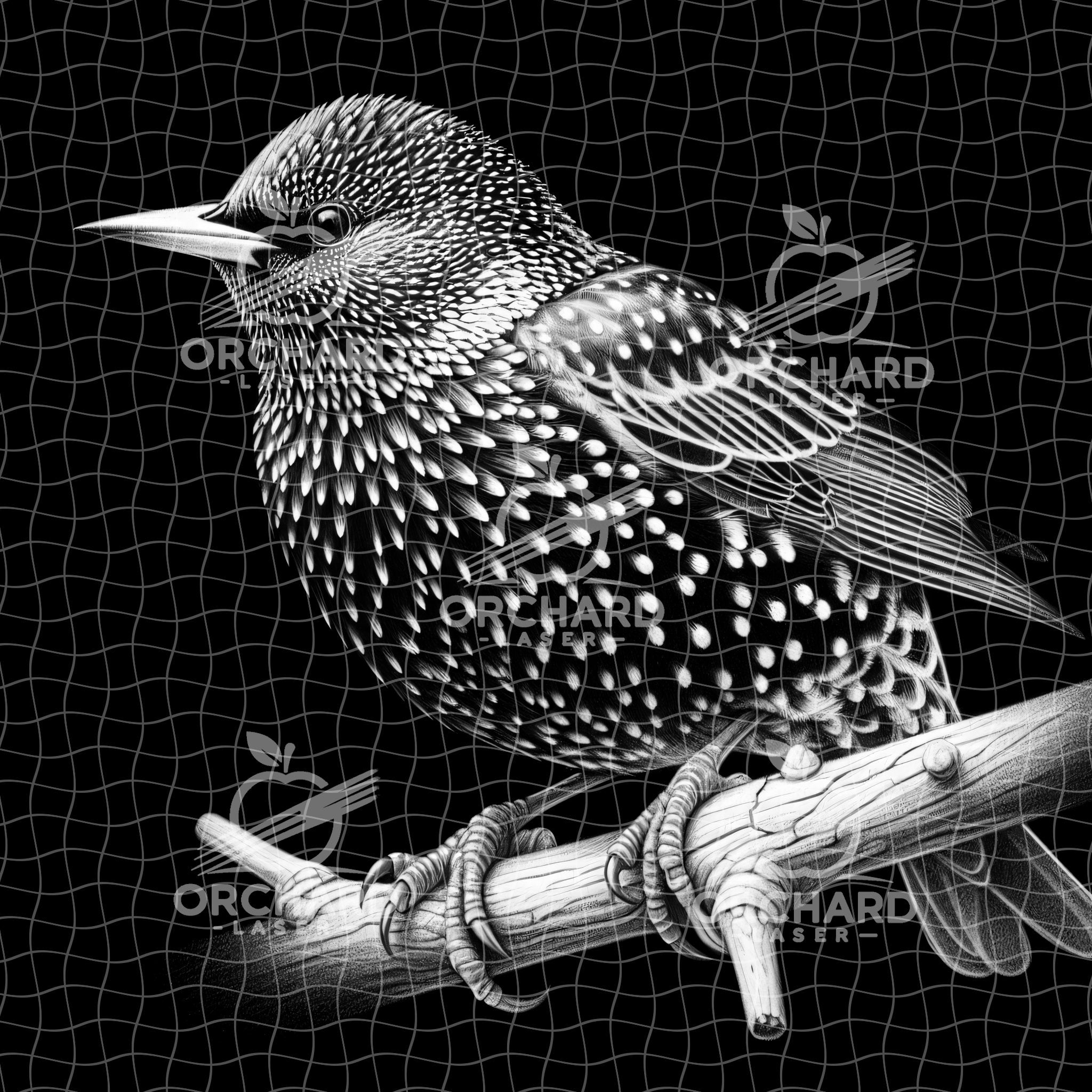 8x High Quality PNG Image File | Drawing | Engrave | Laser Ready ...