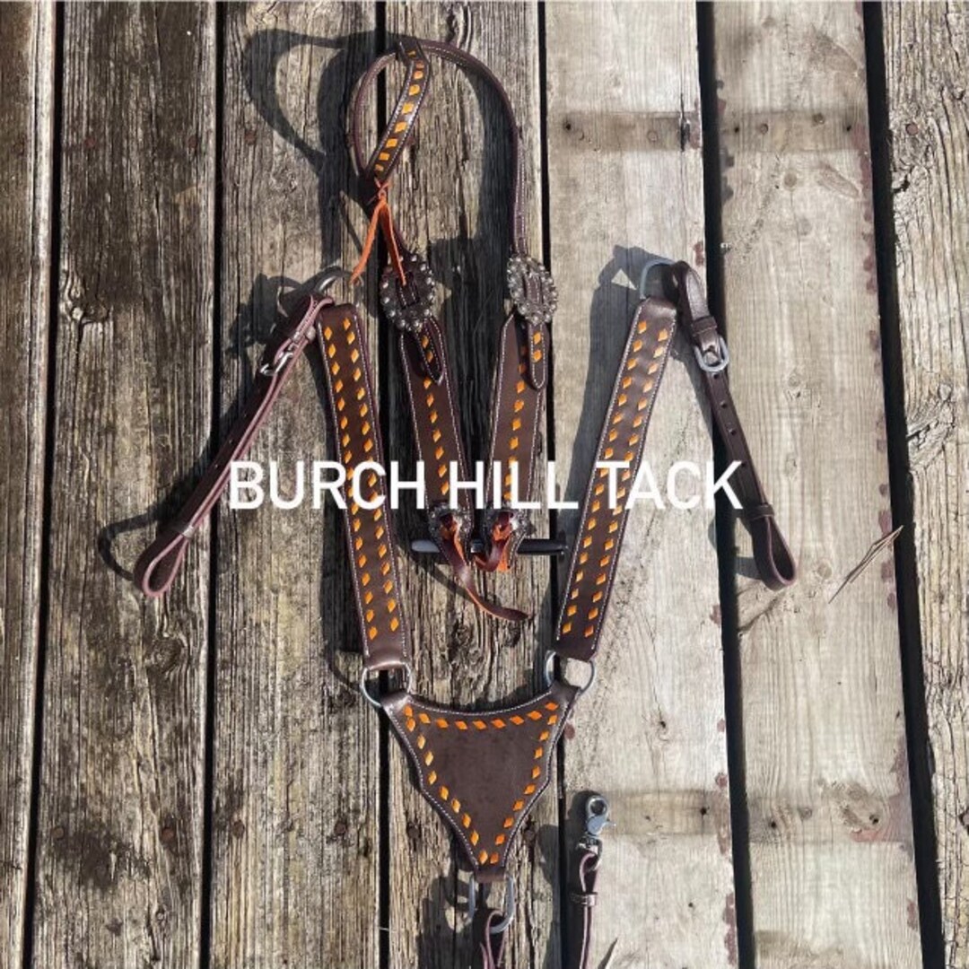 Orange Buck Stitch Western Tack Set - Etsy