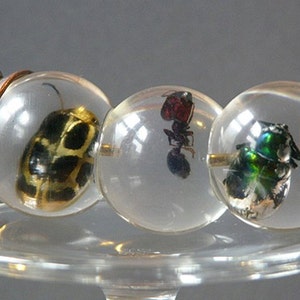 Insect Trio Necklace Made With Real Insects in Resin Orbs - Etsy
