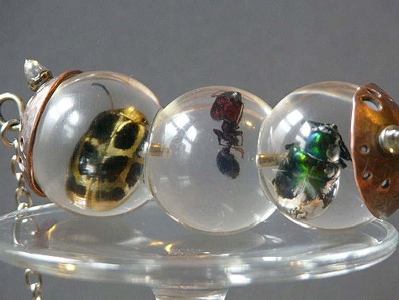 Insect Trio Necklace Made With Real Insects in Resin Orbs - Etsy