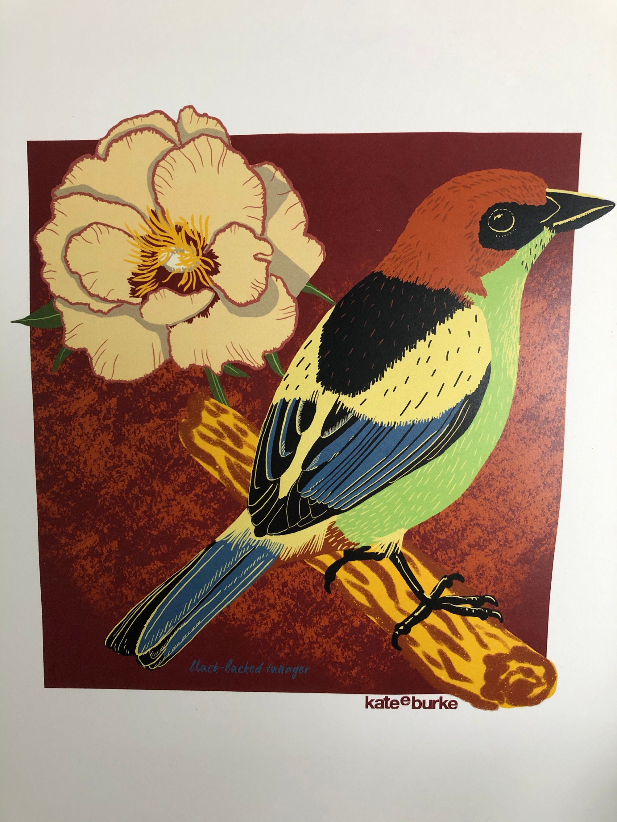 Black-backed Tanager 11x14 Digital Print - Etsy