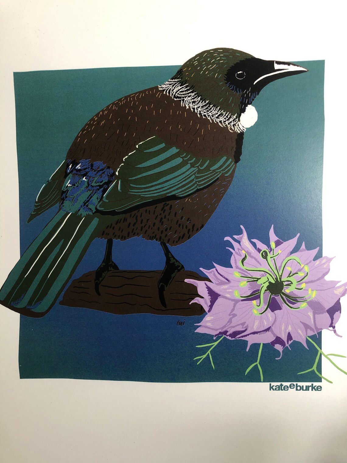 Tui 11x14 Digital Print - Etsy