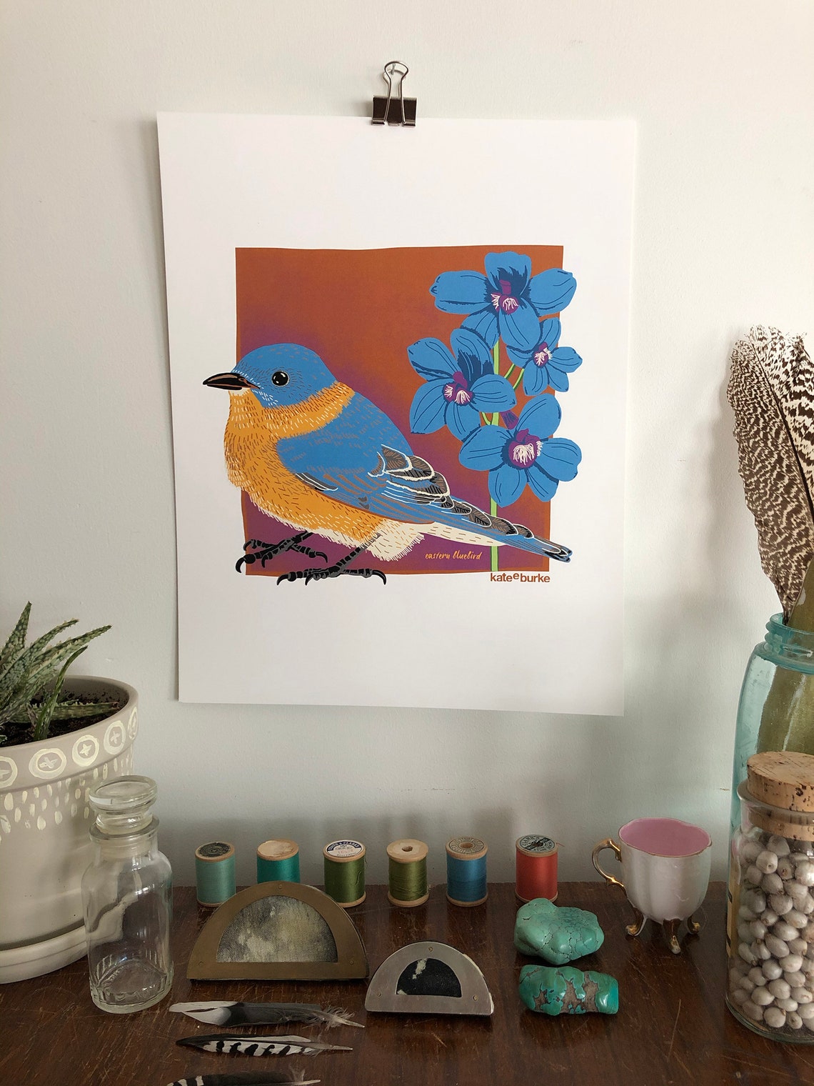 Eastern Bluebird 11x14 Digital Print - Etsy