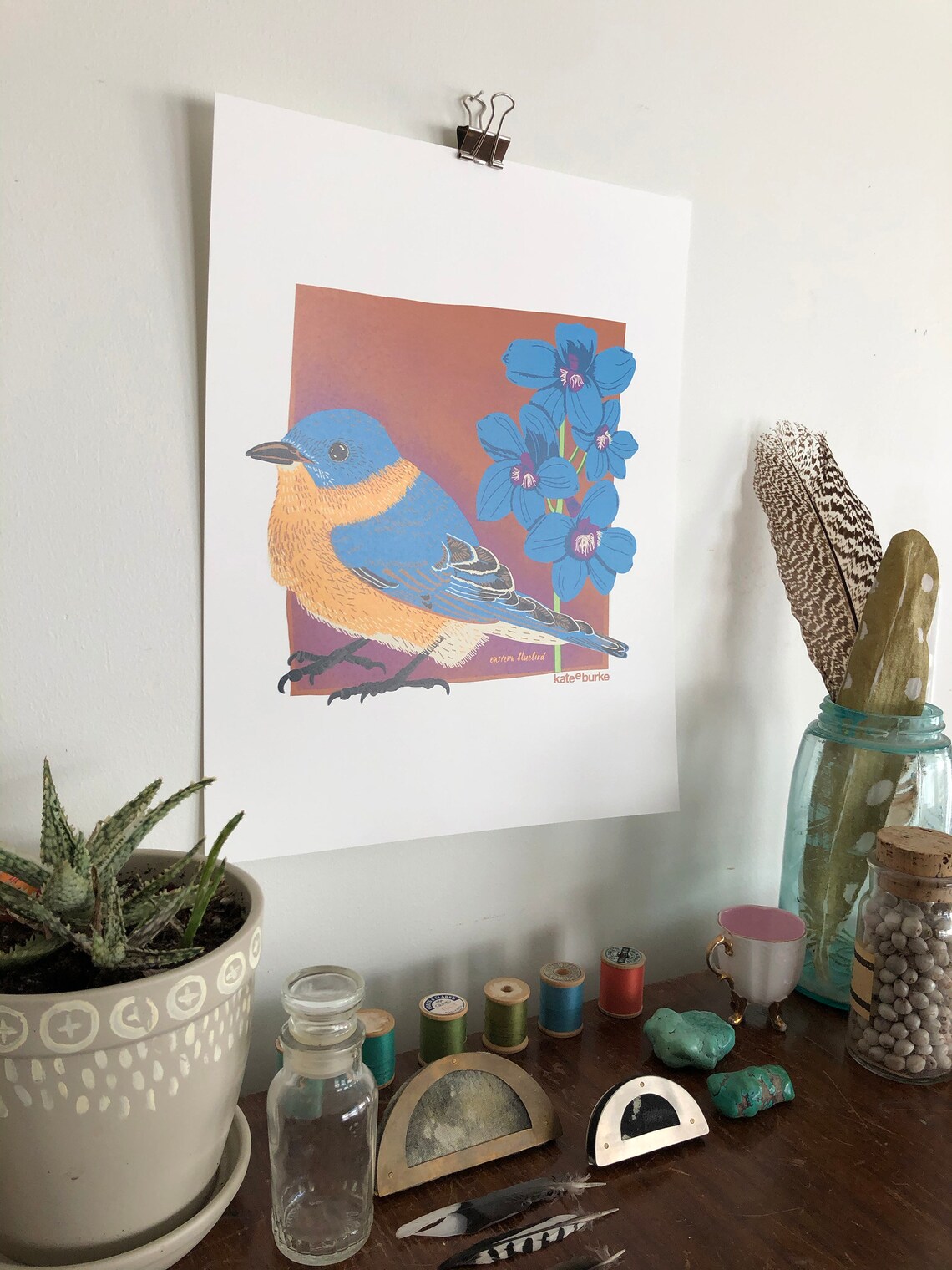 Eastern Bluebird 11x14 Digital Print - Etsy