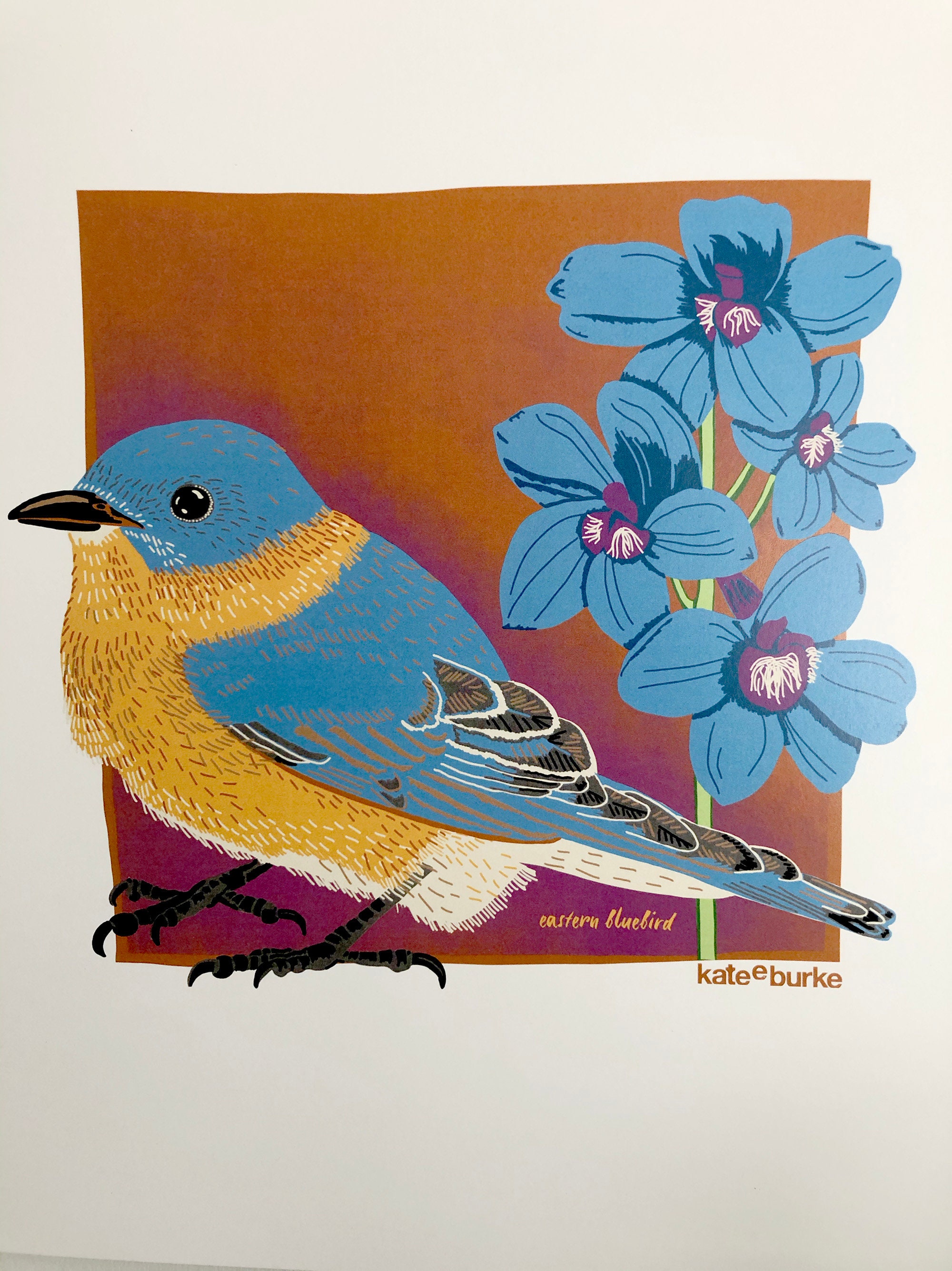 Eastern Bluebird 11x14 Digital Print - Etsy