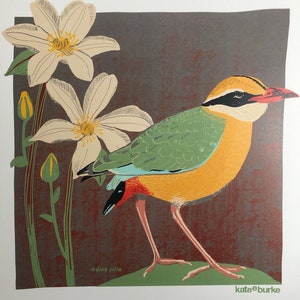 Indian Pitta 11x14 Digital Print - Etsy