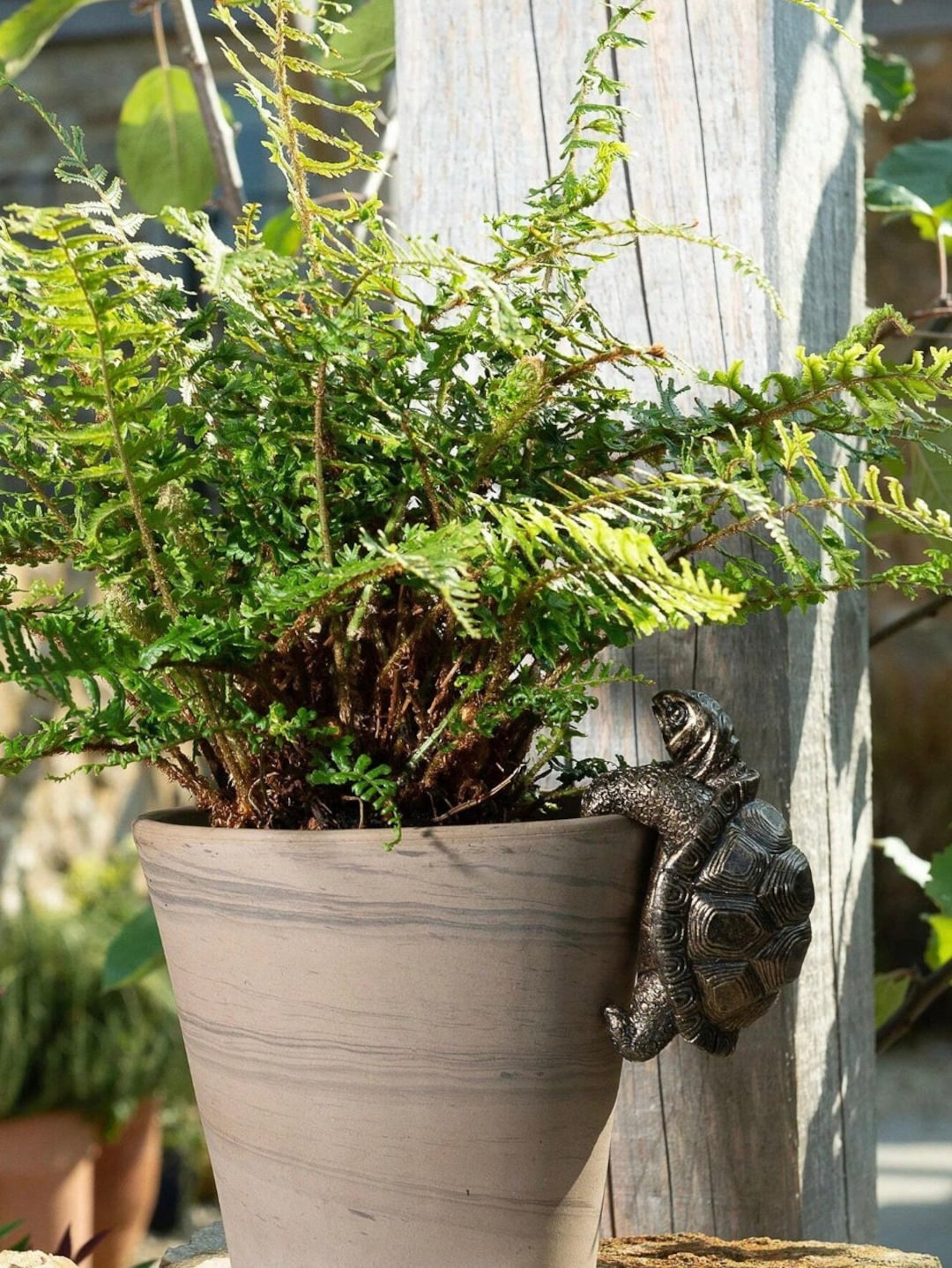 Bronze Turtle Planter Hanging, Pot Buddy, Pot Hanger, Gift Boxed ...