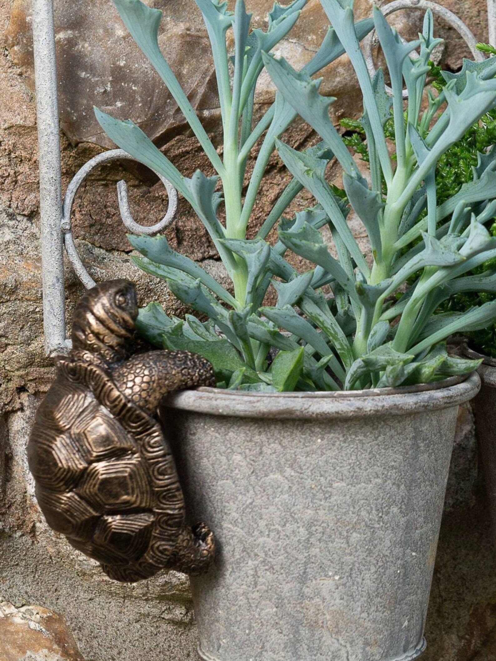 Bronze Turtle Planter Hanging, Pot Buddy, Pot Hanger, Gift Boxed ...