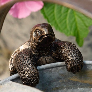 Bronze Turtle Planter Hanging, Pot Buddy, Pot Hanger, Gift Boxed ...
