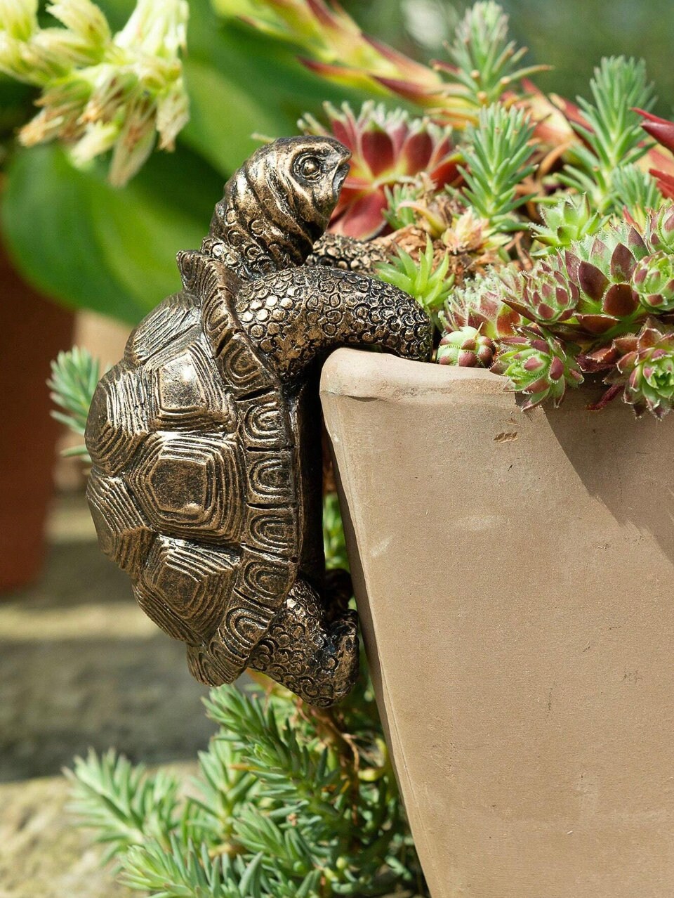 Bronze Turtle Planter Hanging, Pot Buddy, Pot Hanger, Gift Boxed ...